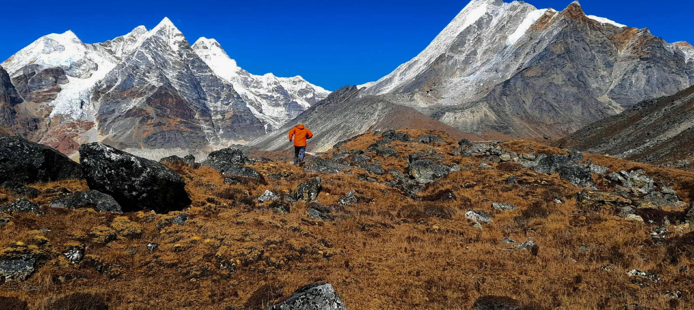 Trip Turbo Blog | Travel News, Offers, and Stories